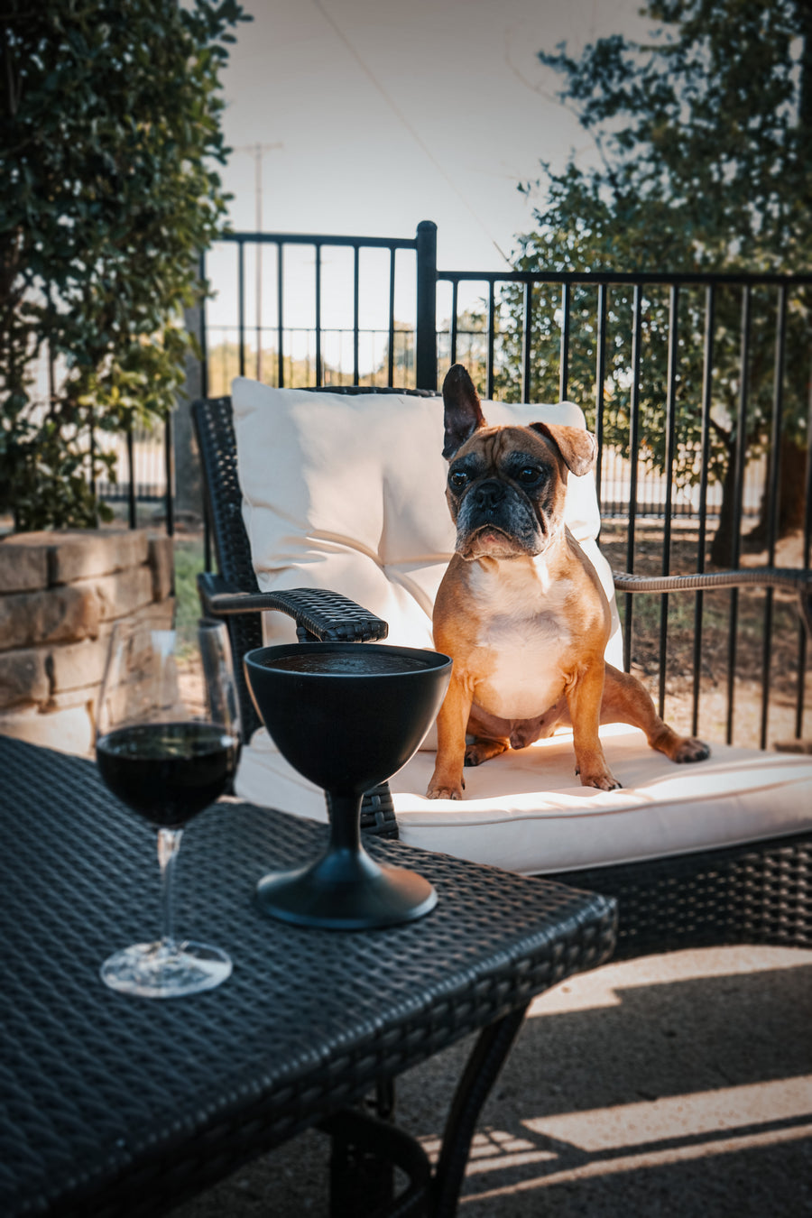 Raise the Woof: Dog Bowls by Cocktails with Fred – Cocktailswithfred